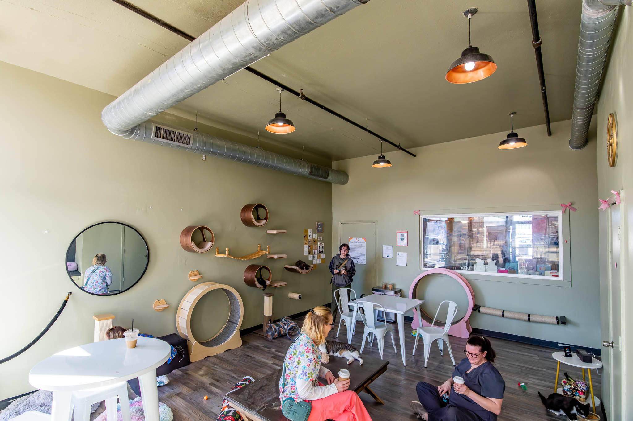 Grand Rapids Coffee Shop and Cat Cafe Lounge Gifts | Happy Cat Cafe