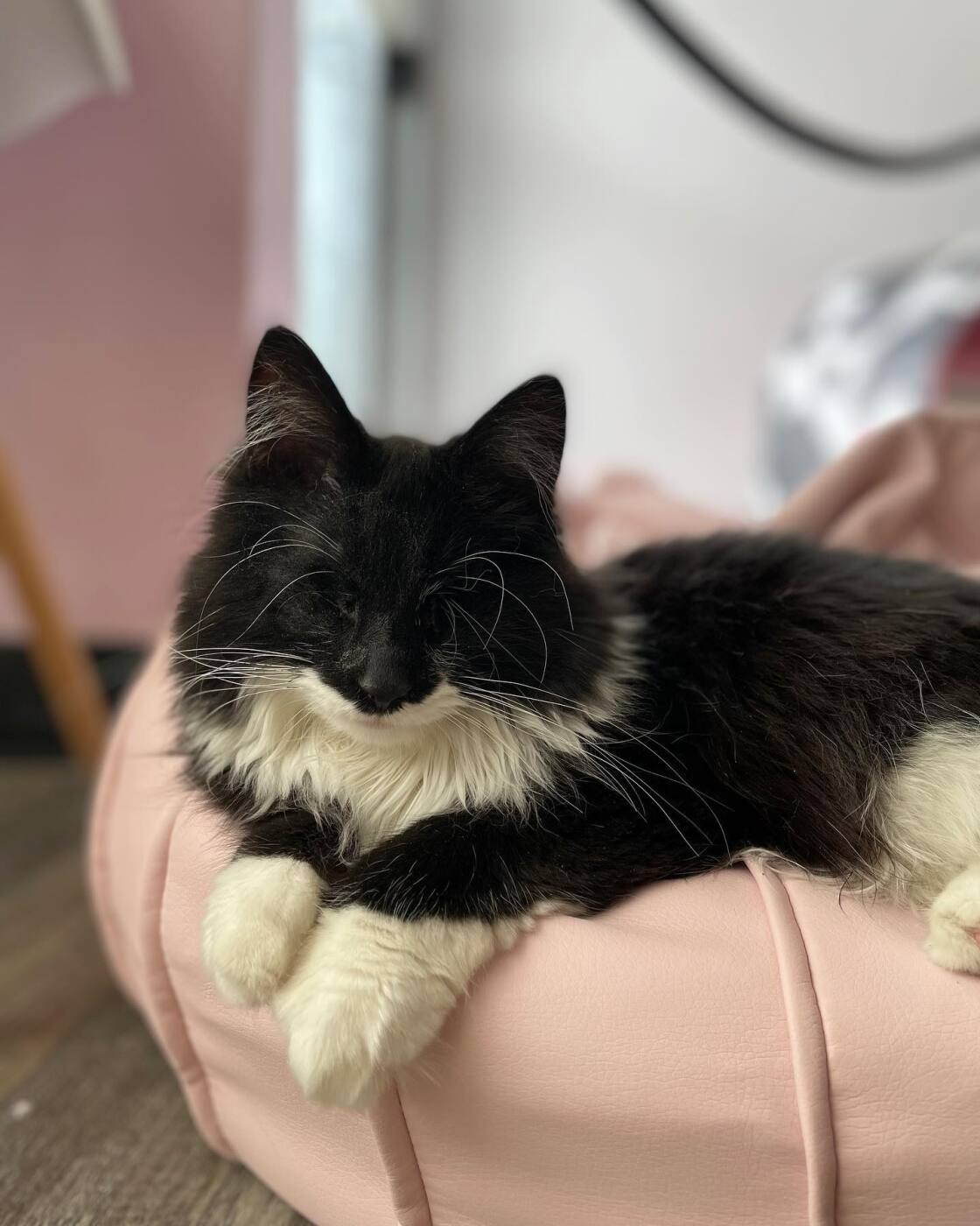 with love serves as a heartwarming reminder of the impact one resilient ...